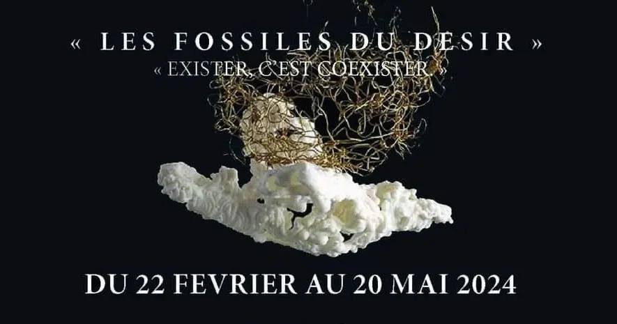 EXPOSITION LES FOSSILS DU DÉSIR - Villa Mais D'ici